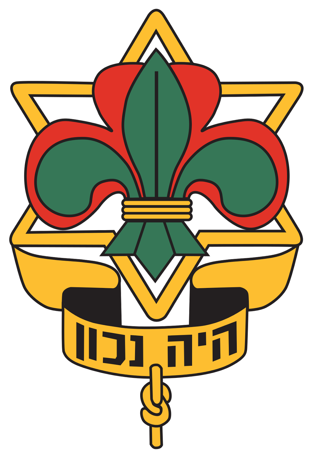 My Experience In The Scouts