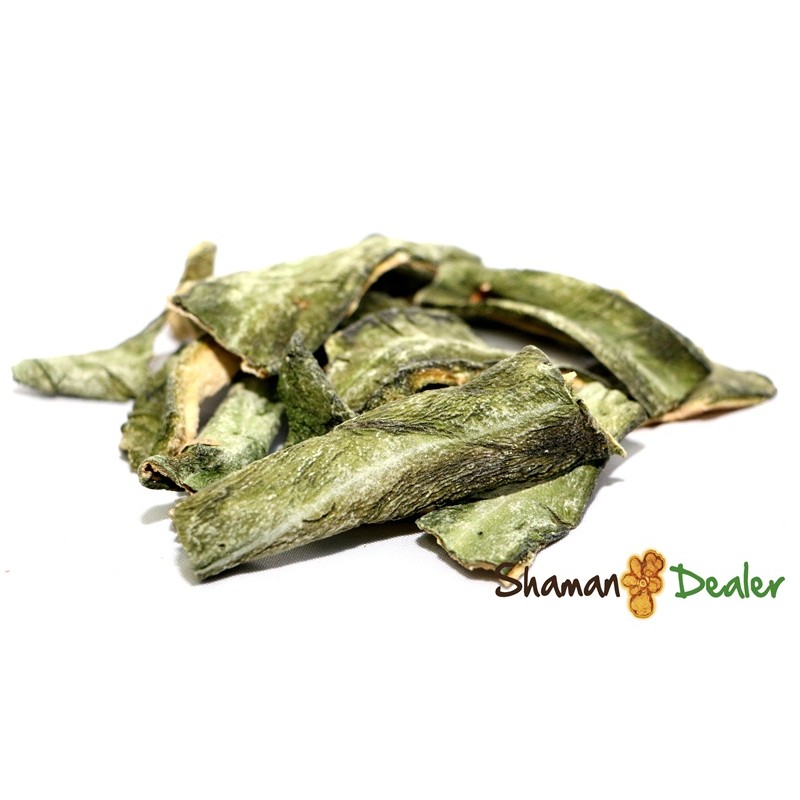 San pedro powder (Echinopsis pachanoi) and dried peruvian torch ...