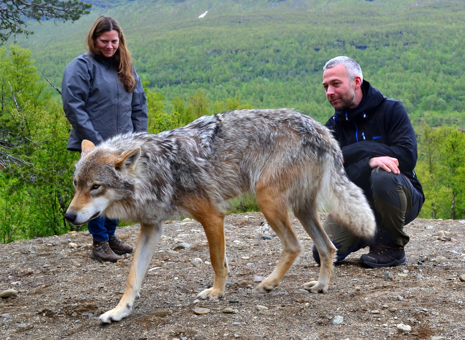 Beyond the Arctic Circle in Northern Norway