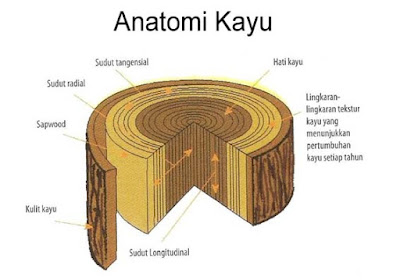 Sifat Fisika Kayu - Perumperindo.co.id