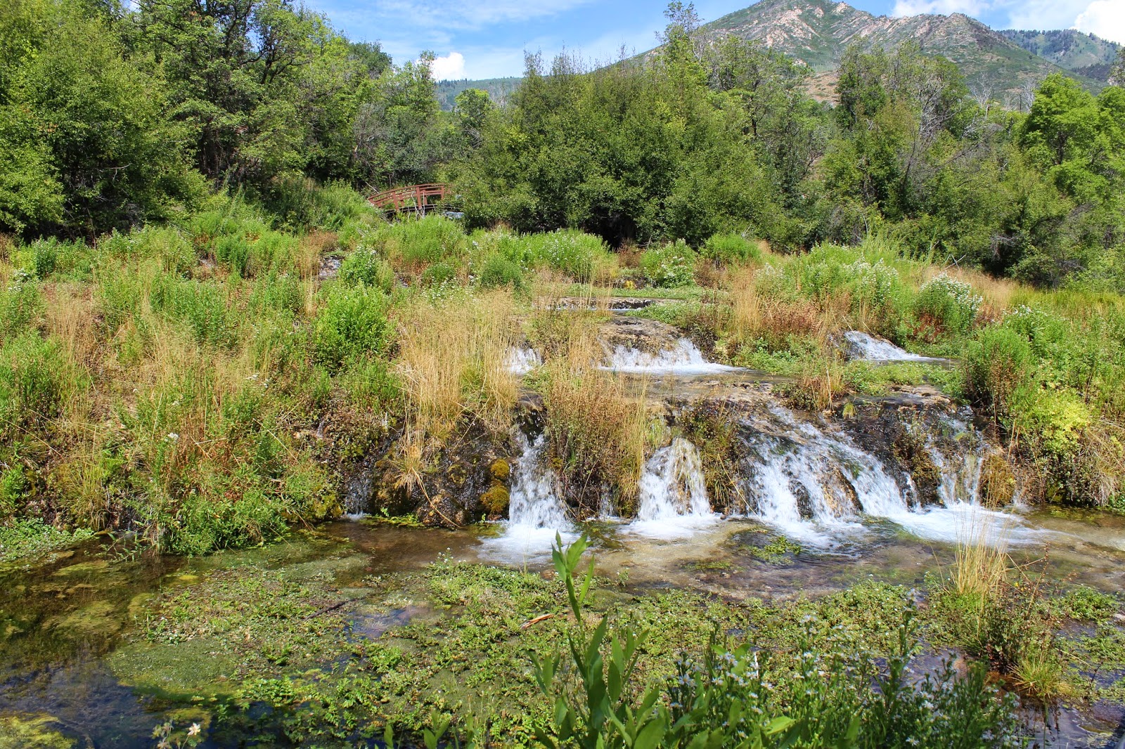 gjhikes.com: Cascade Springs