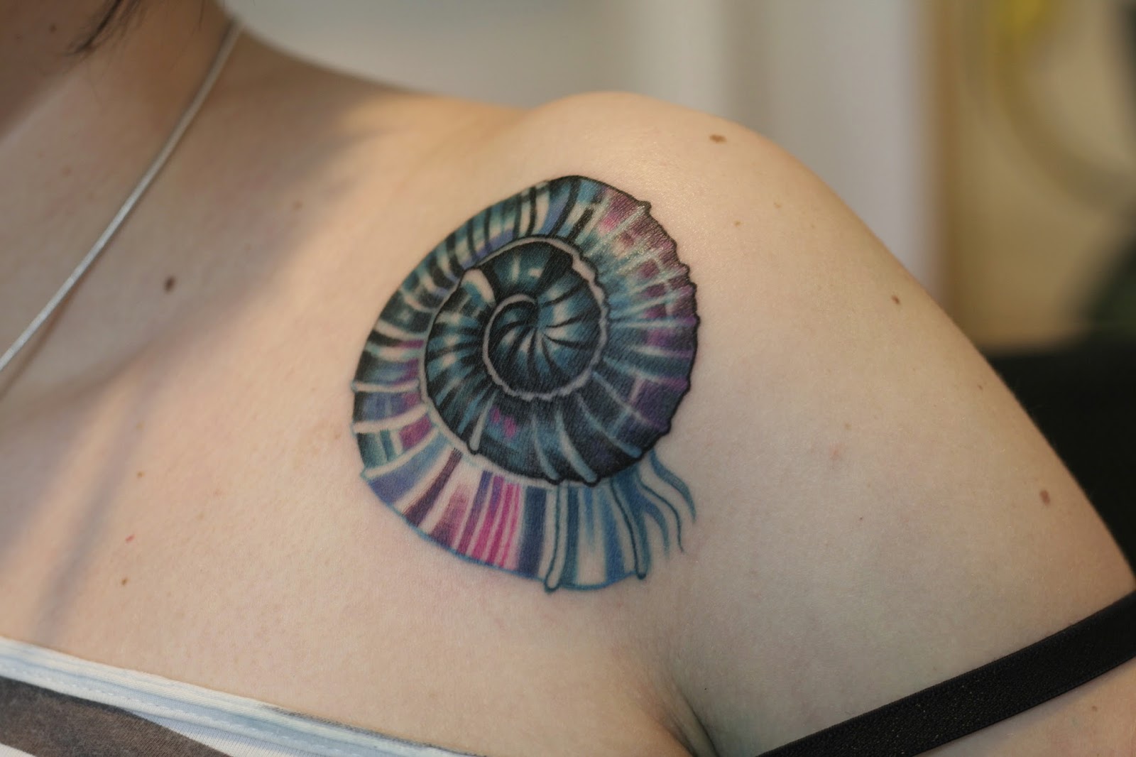 Ammonite Tattoo Designs