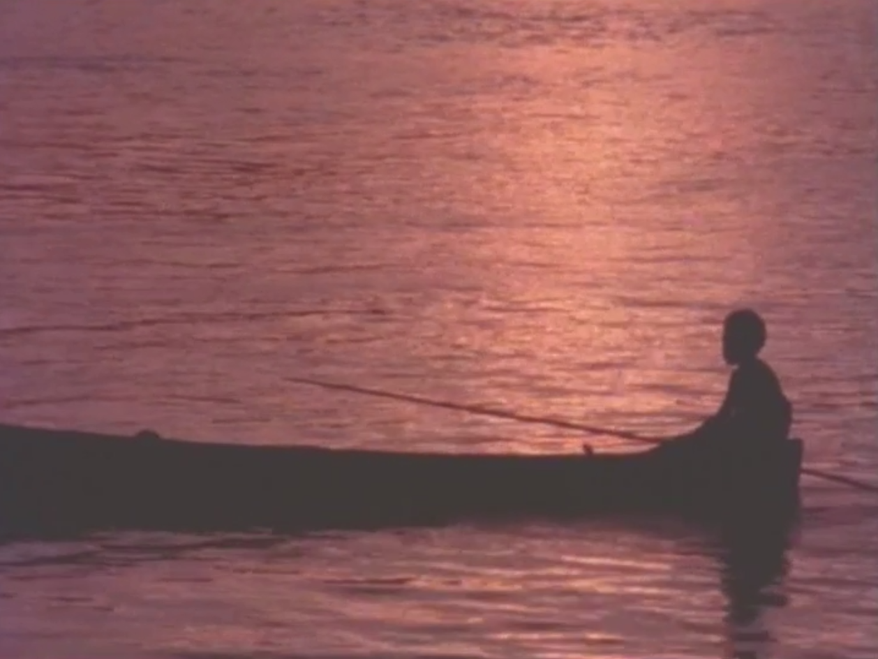 microphones in the trees: tuluum shimmering