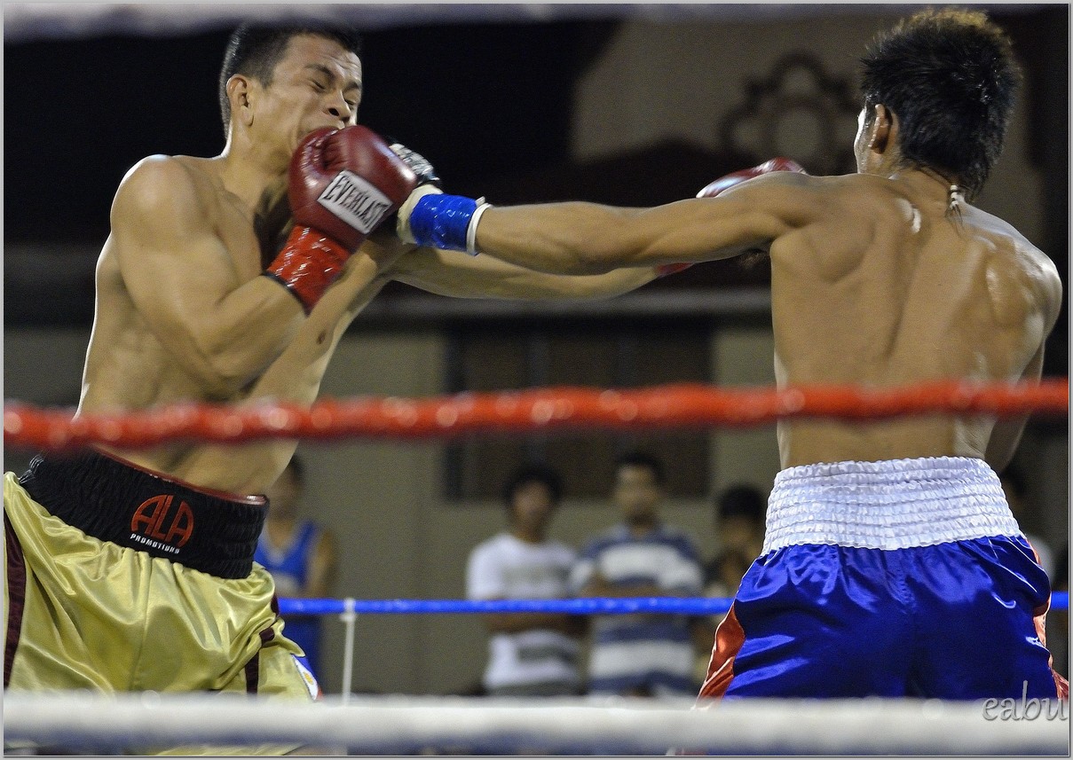 FrEsH aNd GrEeN: One Last Time Before The Bigtime, Aj Banal