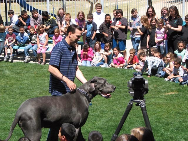 Murió 'Giant George', el perro más alto del mundo - Seamos Mas Animales ...