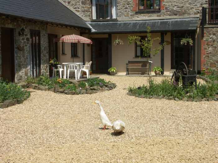 Hoteles para niños: Devon (Inglaterra) - North Hayne Farm Cottages