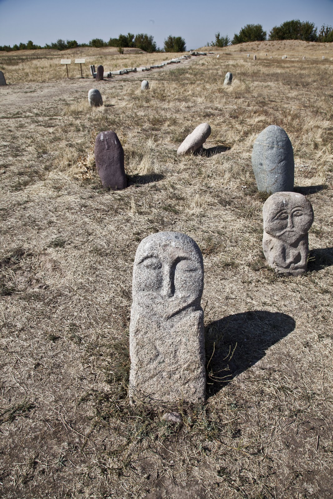 Fiyel Levent: Portrait of a Balbal