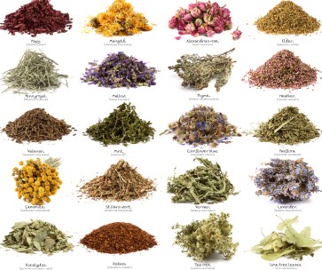 Dark Ali ~~~~~~~~: Day 3 Magical Herbs~ The List of magic herbs and plants