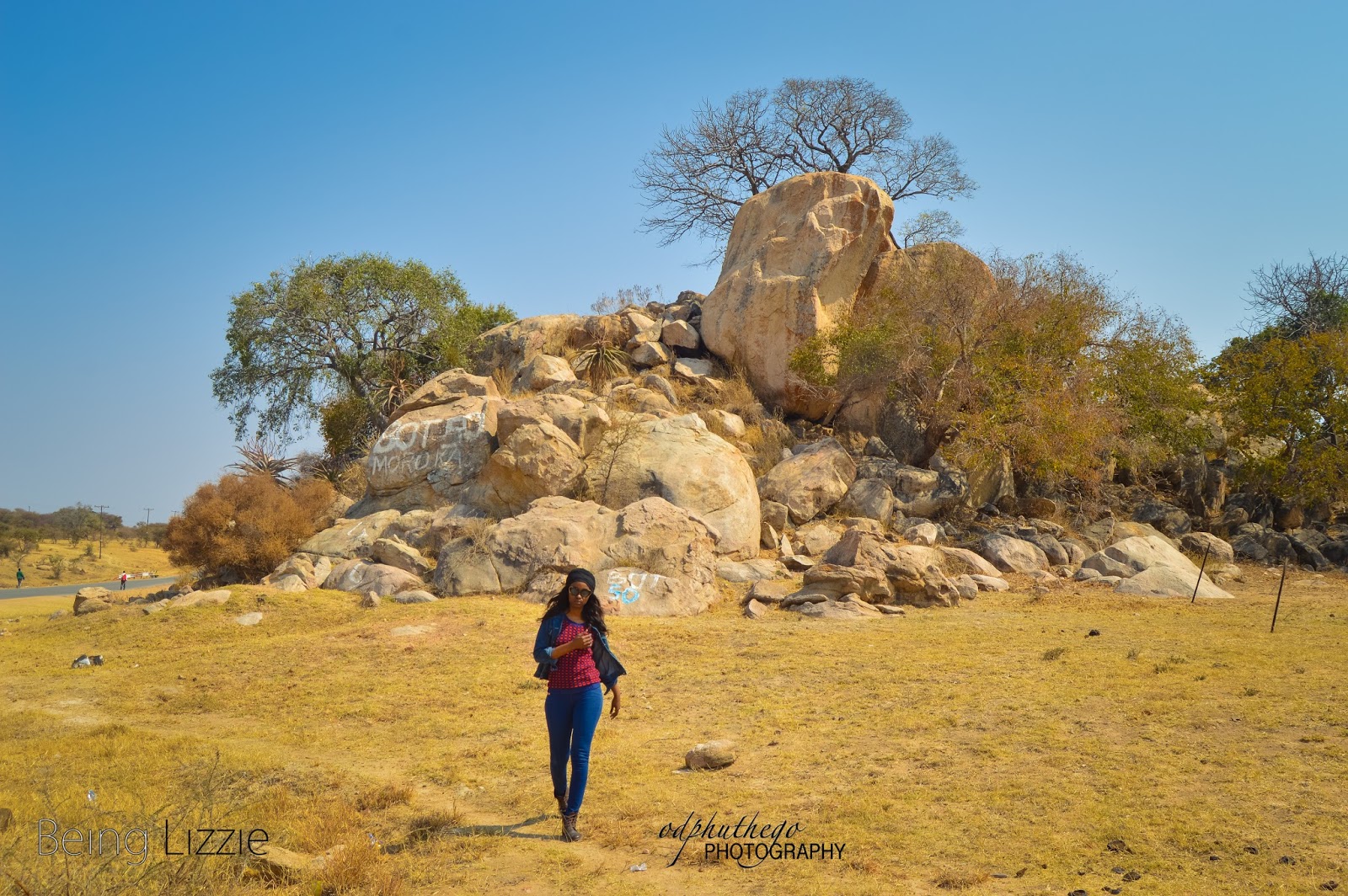 Domboshaba - beinglizzie