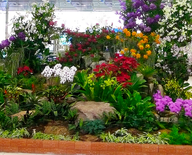 Tropical Garden and Landscape: Professionally Designed Indoor and ...