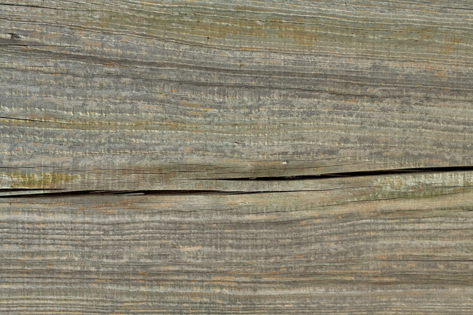 HIGH RESOLUTION TEXTURES: (Wood 26) dry cracked plank tree bark texture ...