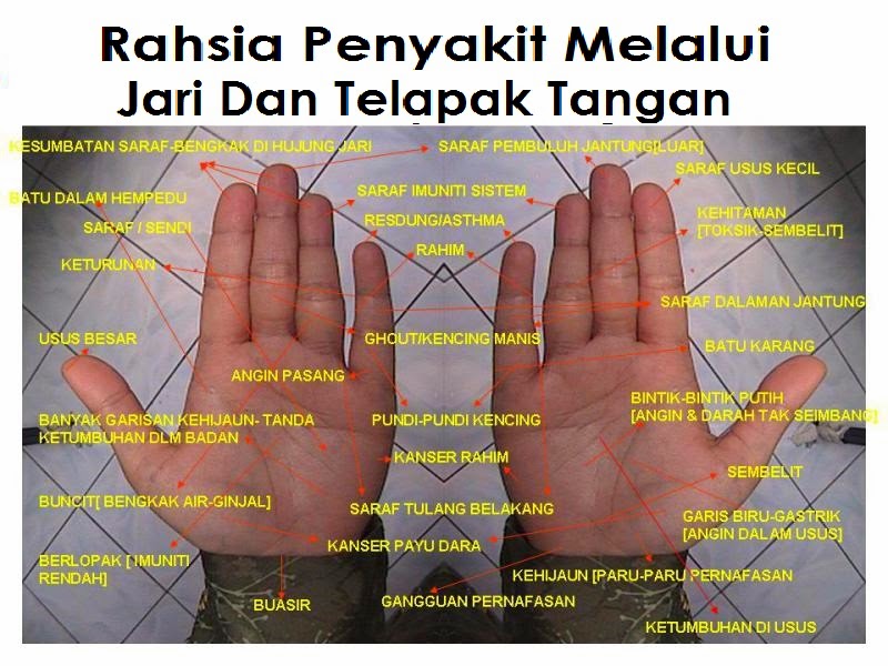 wabillahi: Ketahui rahsia tanda-tanda penyakit Menerusi jari dan ...
