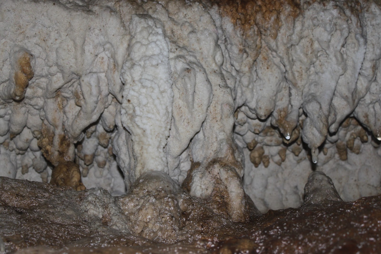 Stalakmit dan Stalaktit | Media Pembelajaran Geografi