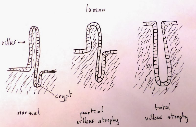 Dr David Grimes: December 2013