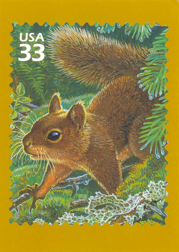 POSTCARDY: the postcard explorer: Pacific Coast Rain Forest Stamps