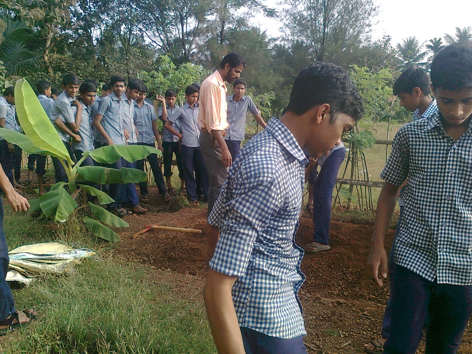 HIGHER SECONDARY NSS KASARAGOD: MY ACTIVITIES