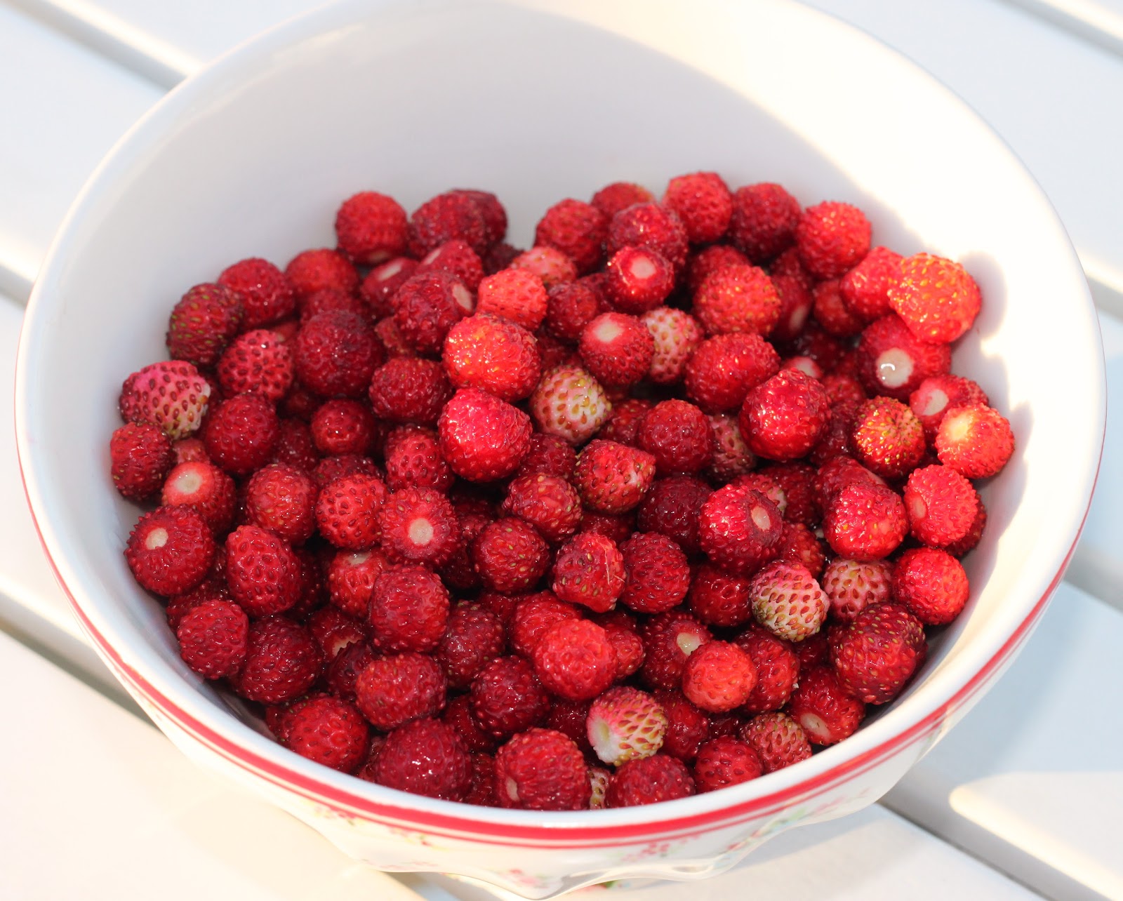 carinashousebythesea: Sommarfin entré och solvarma smultron