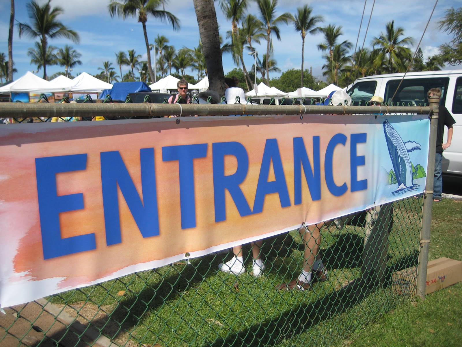 Maui Vacation Guide: World Whale Day in Kalama Park Kihei Maui