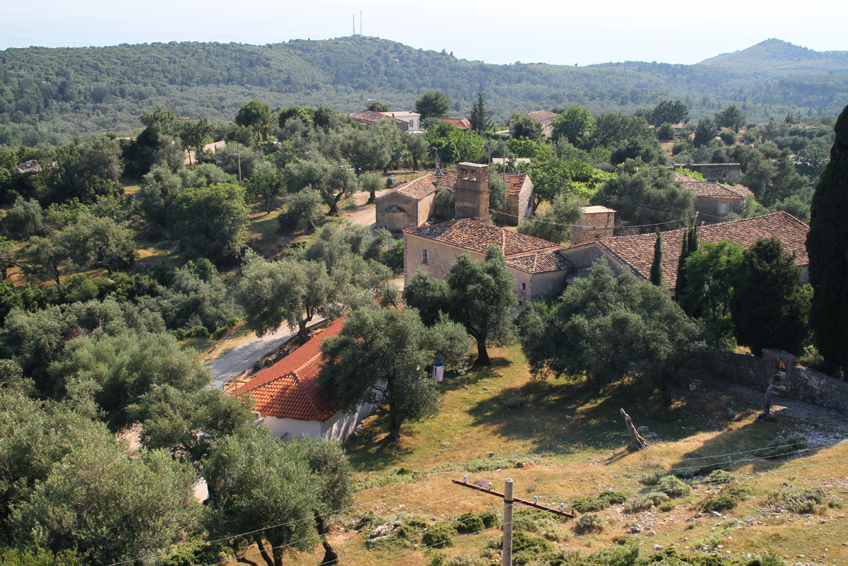 Antiguos OLIVOS del Mediterráneo : ALBANIA. VLORE, PANAJA, HOSHTIMA ...