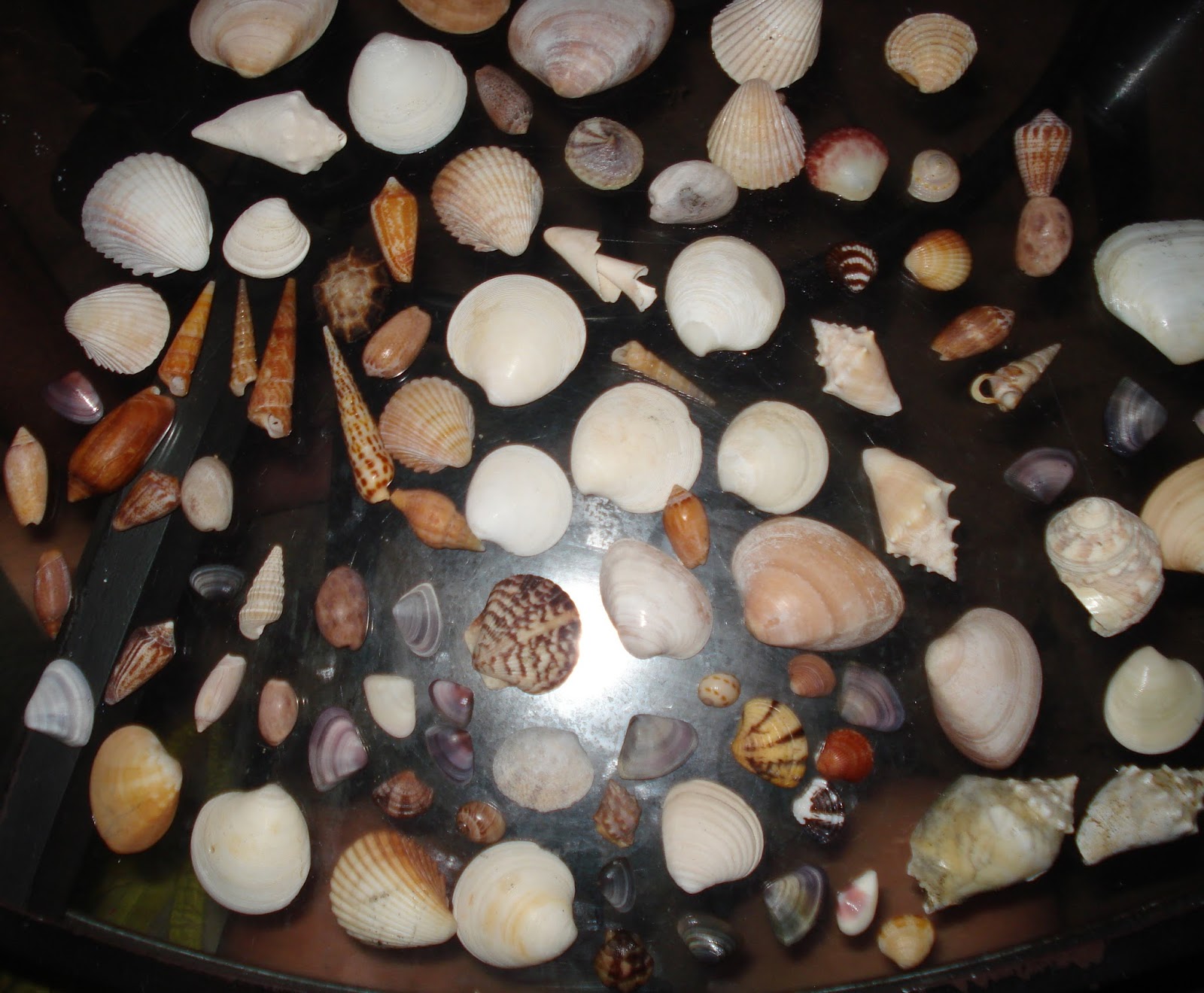 Get Me Outdoors: Costa Rica