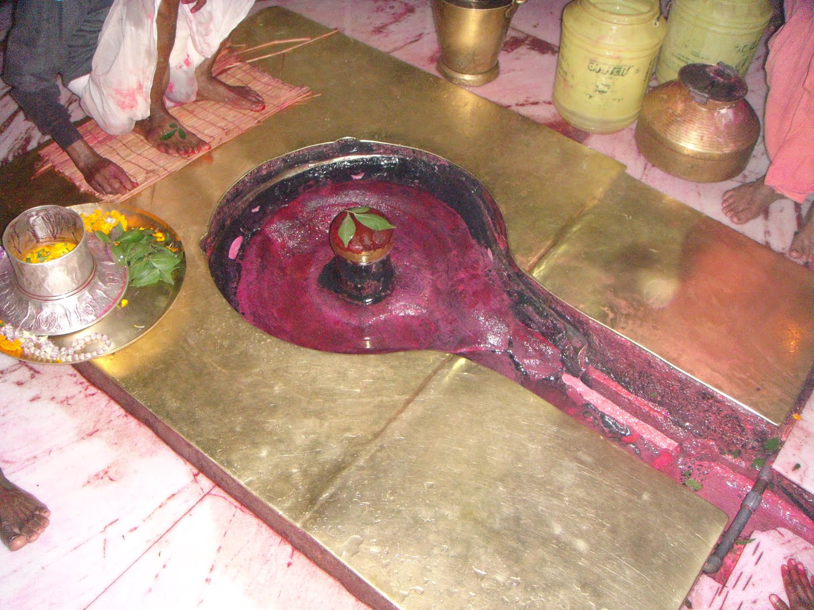 baba basukinath: JAI BABA BASUKINATH