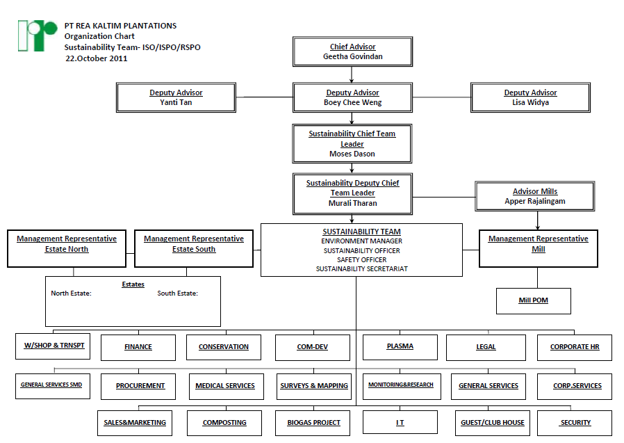 Sustainability Department Structure