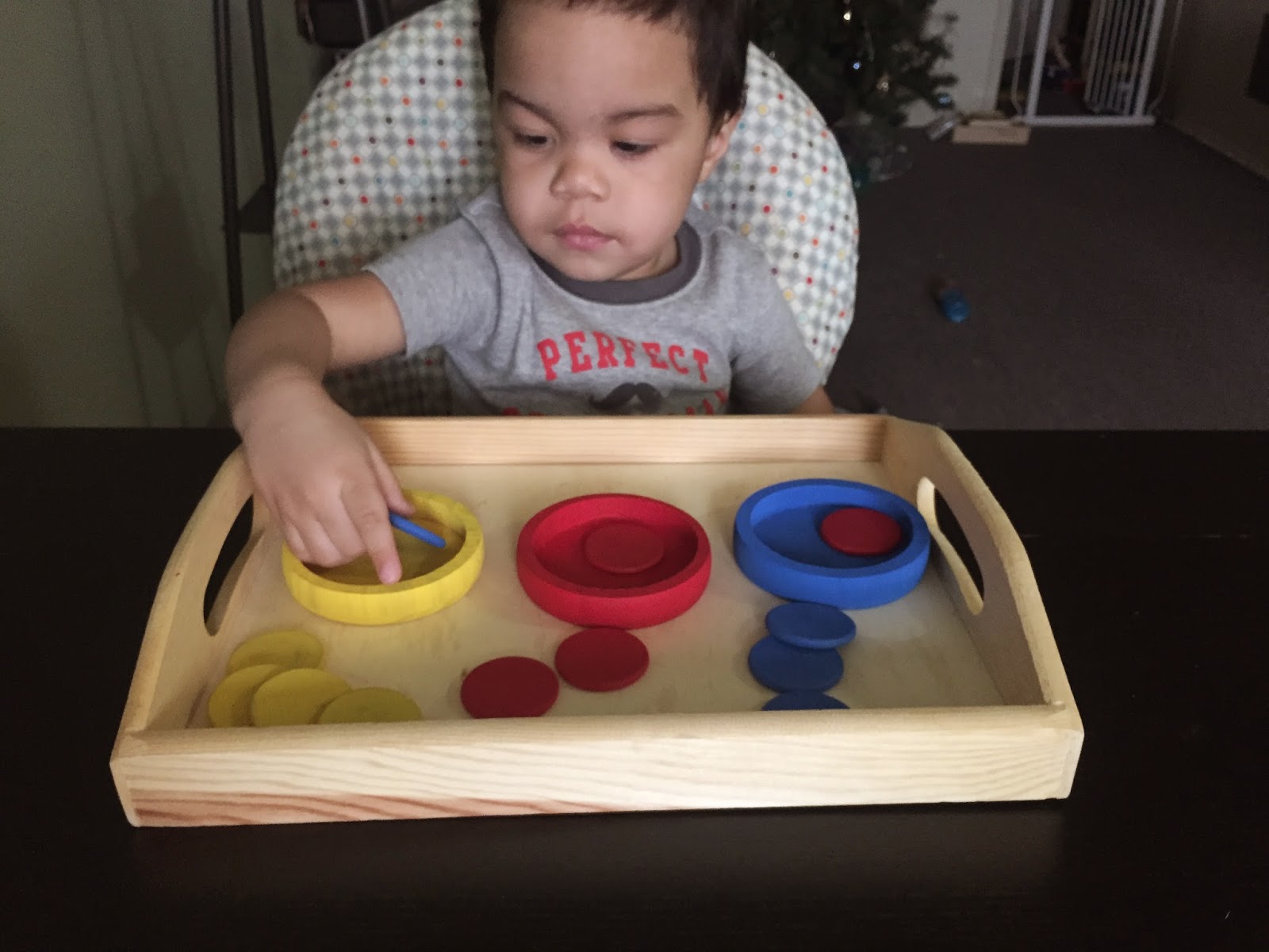 Another Crunchy Mama: DIY Montessori Sorting Activity