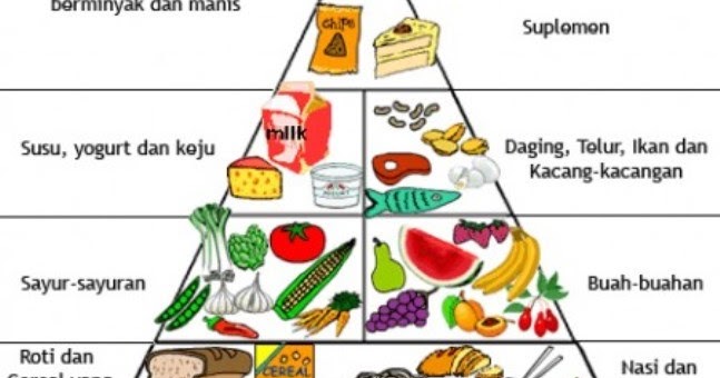 Tips Pemakanan Yang Betul Untuk Badan Yang Sihat