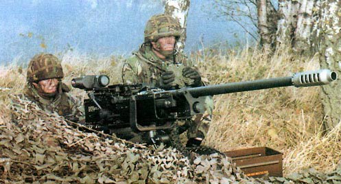 Bioroids and Bombots: Weapons: ASP 30mm cannon.