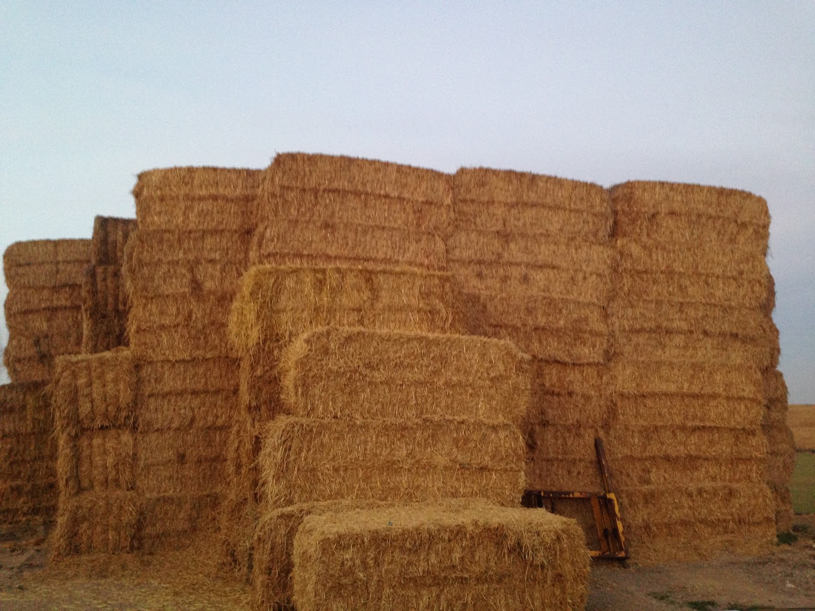 10.000 cosas que me gustan : 00244 Las Pacas de Paja