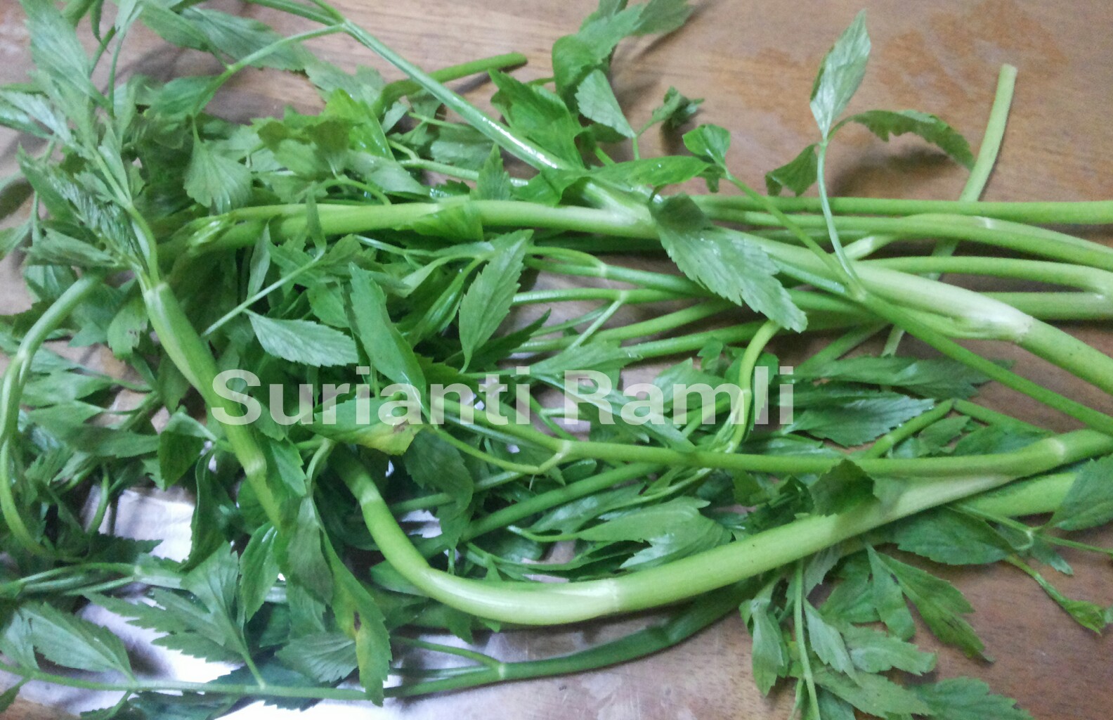 Jom masak: Kerabu selom yang menyelerakan