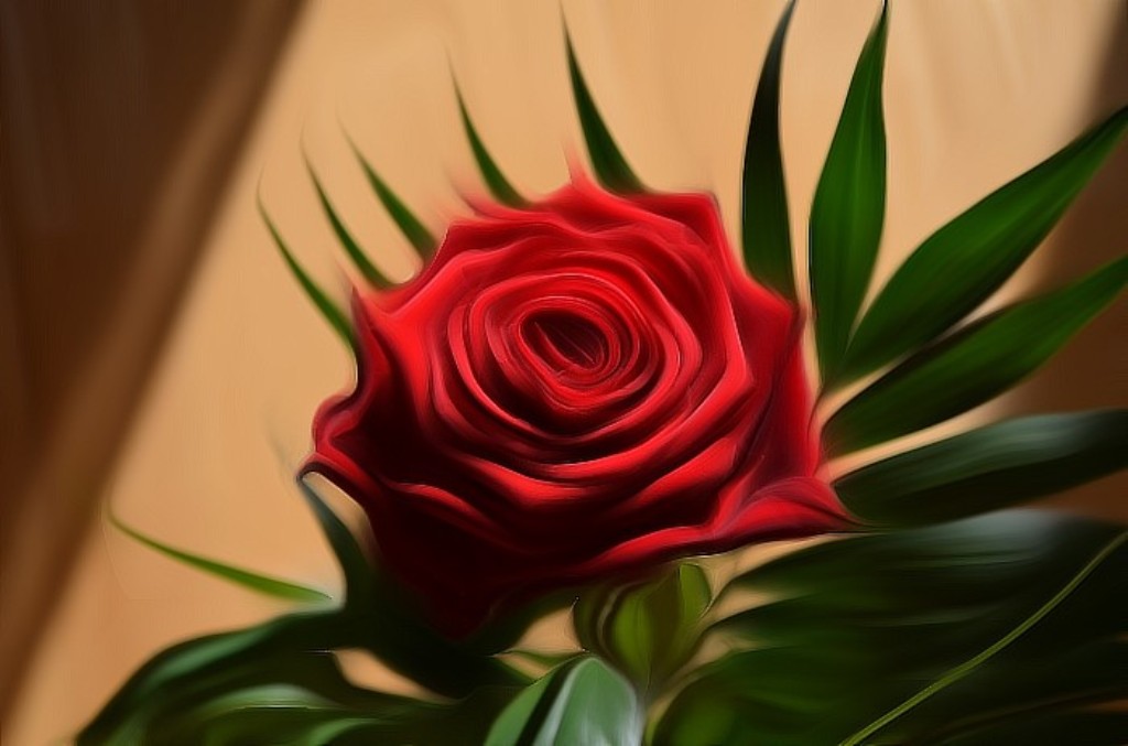 ps-pictureshop: Rose, Roza, hoa hồng, Roses, faqekuq, ruže, roser, roses,