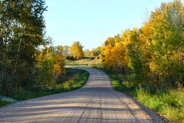 Central Alberta Fly Tying Club: Fall in the Parkland Region of Manitoba