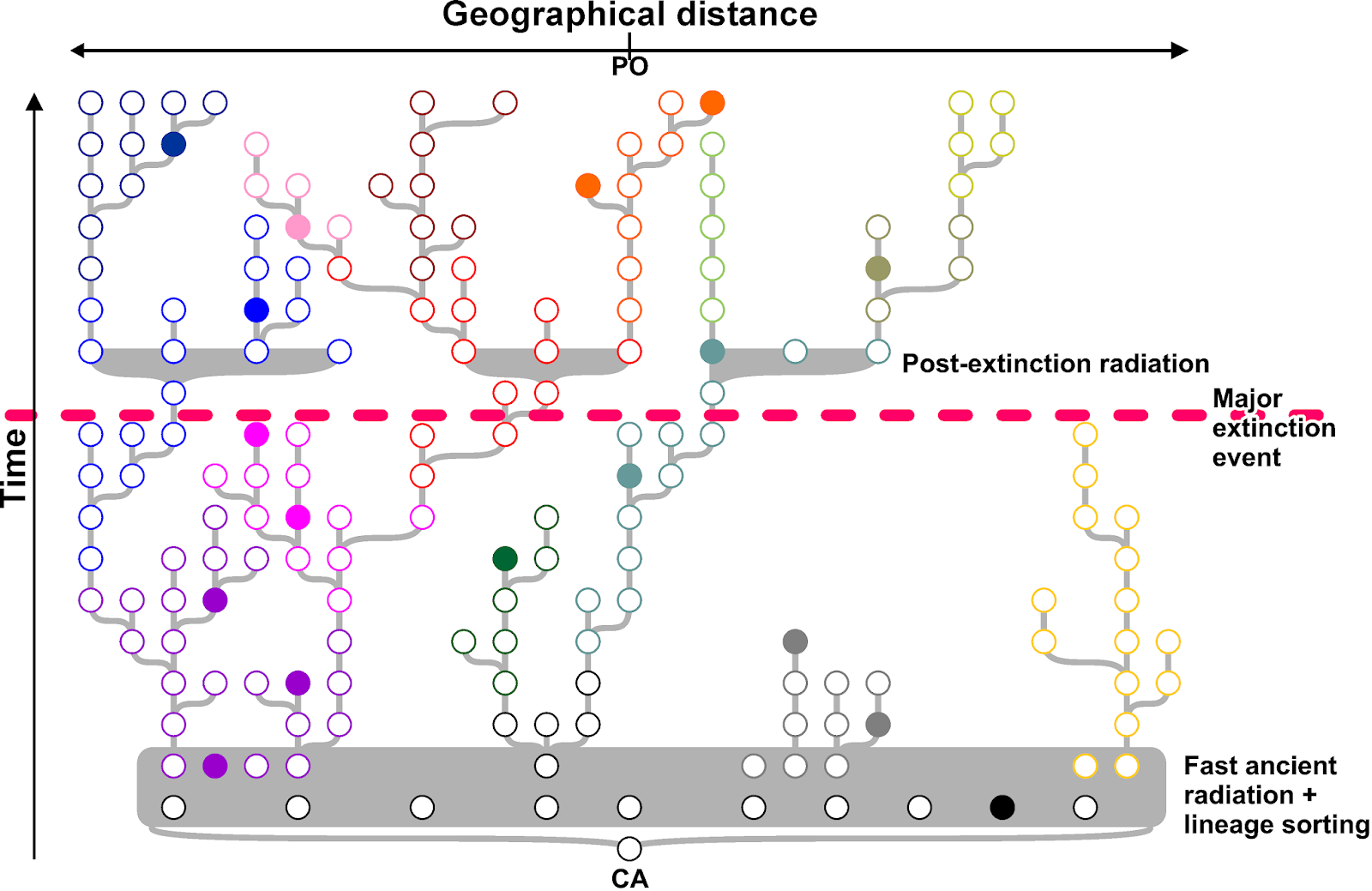 Res.I.P. – an unprofessional science (and other things) blog: Where ...