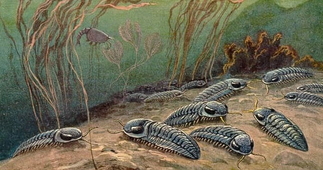 El Paleozoico