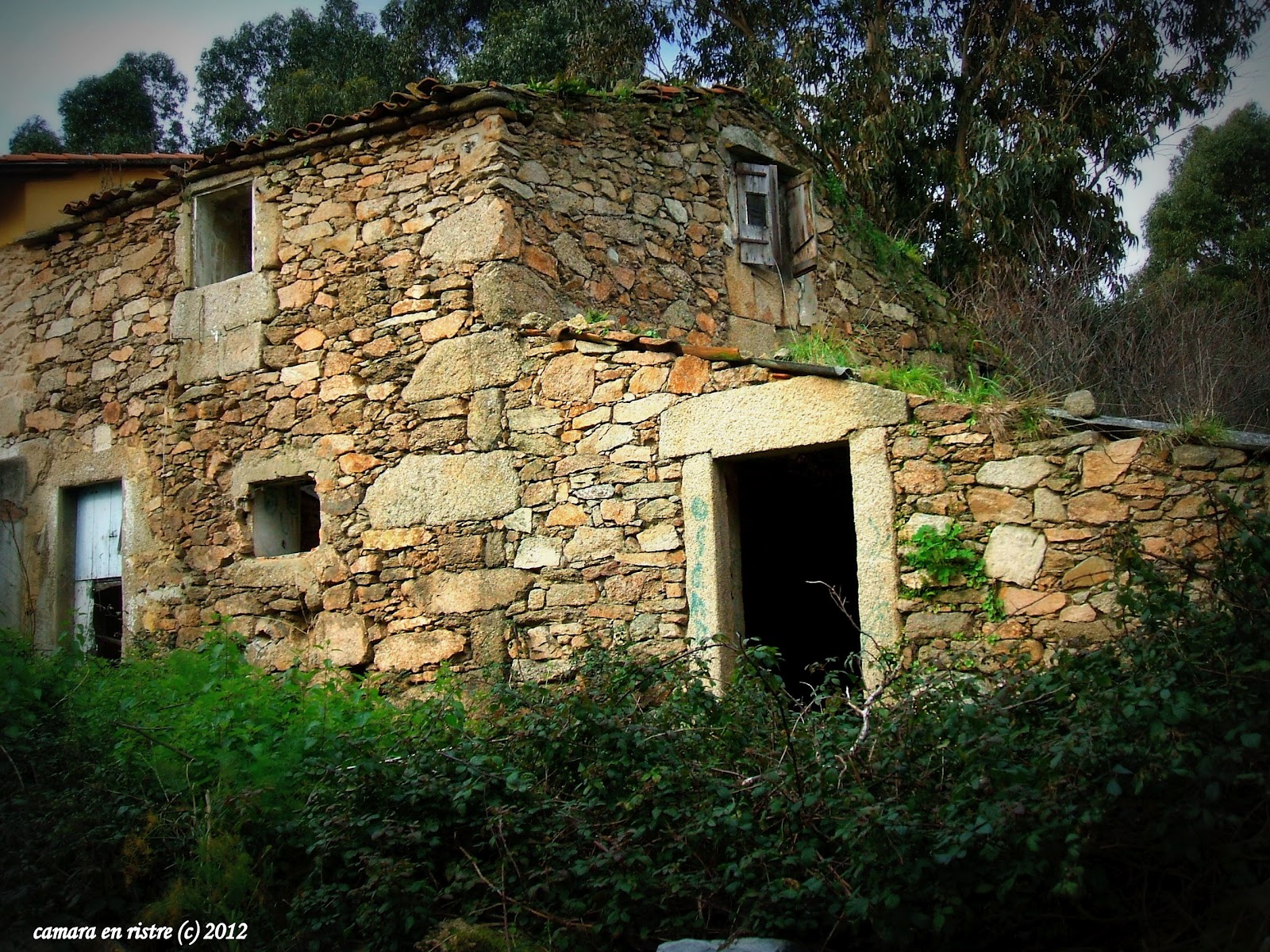 Cámara en ristre: La casa desolada