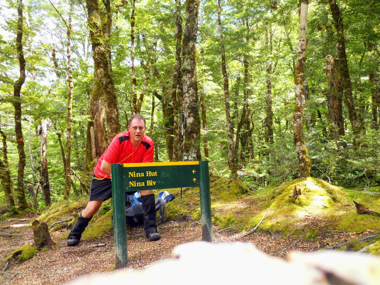Tramping in the New Zealand backcountry: NZ Bush Adventures: Nina ...