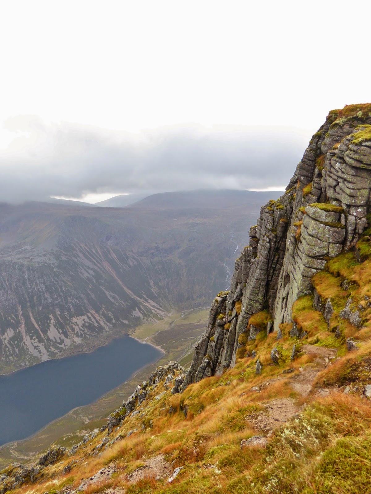 Big Gorse Bush: Sgor Gaoith.