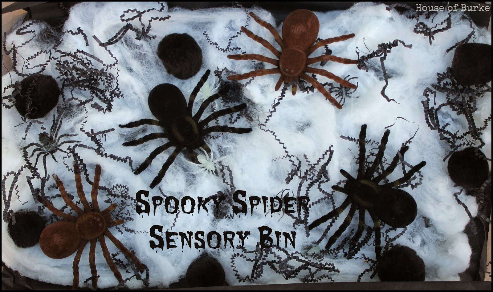 House of Burke: Spooky Spider Sensory Bin