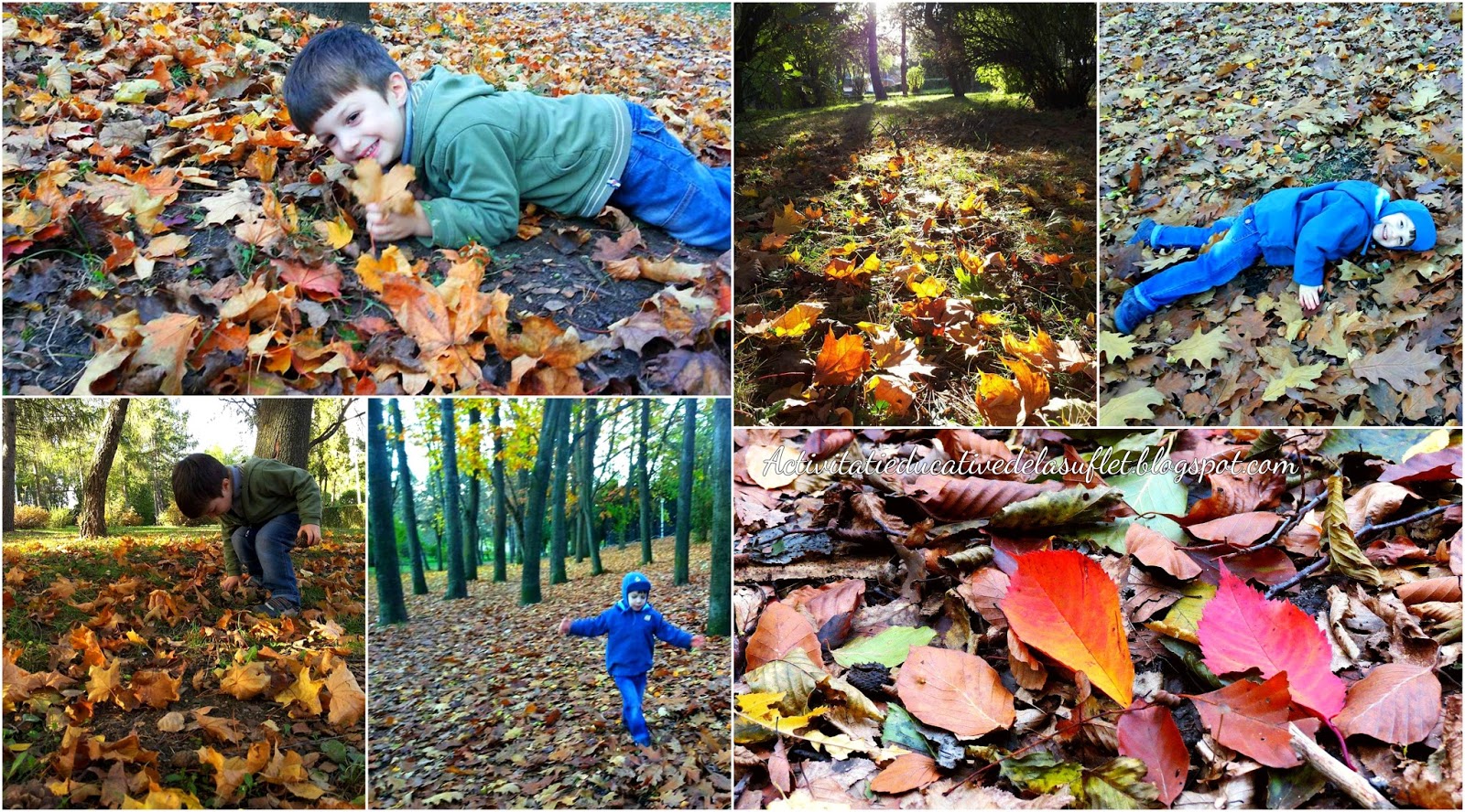 Activitati educative de la suflet la suflet: Toamna e plina de frunze ...