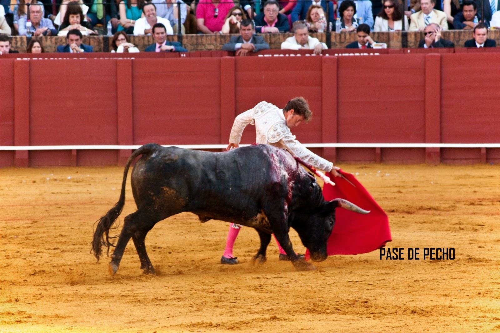 Lances con la muleta!!!