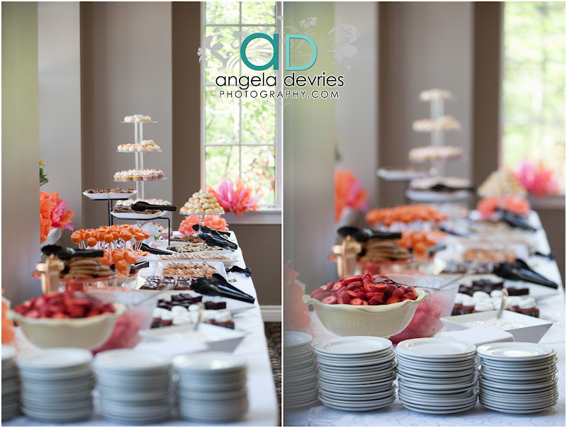 Angela DeVries Photography: The beautiful Jennifer Ancona's wedding ...