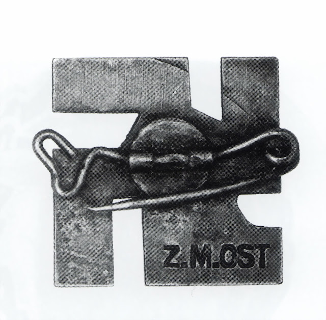 Ailsby Collection: Frontbann Badge