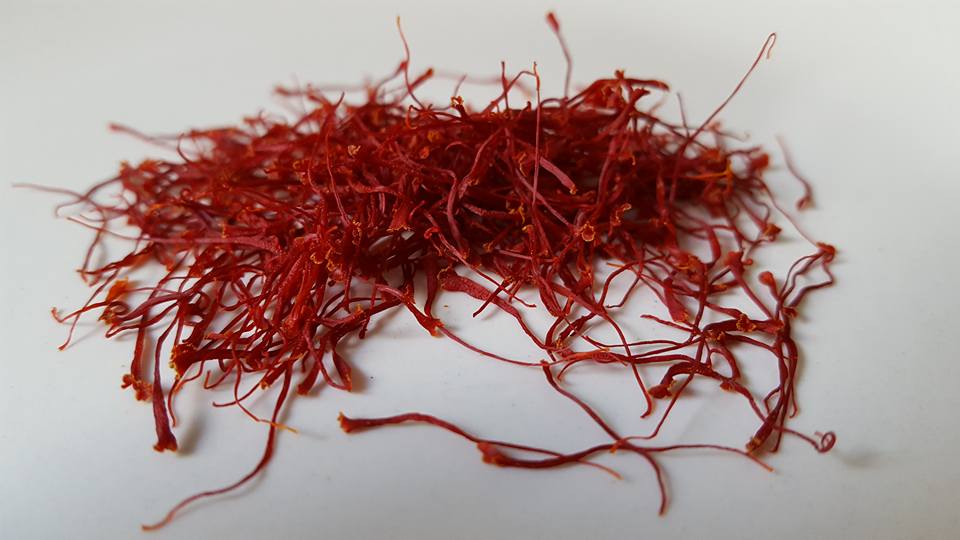 Ma safranière dans le Briançonnais