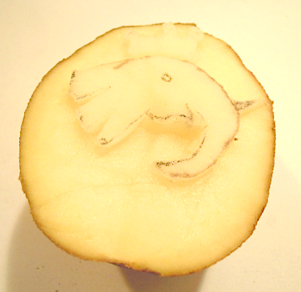 An Elephant a Day: Elephant No. 18: Potato Printing