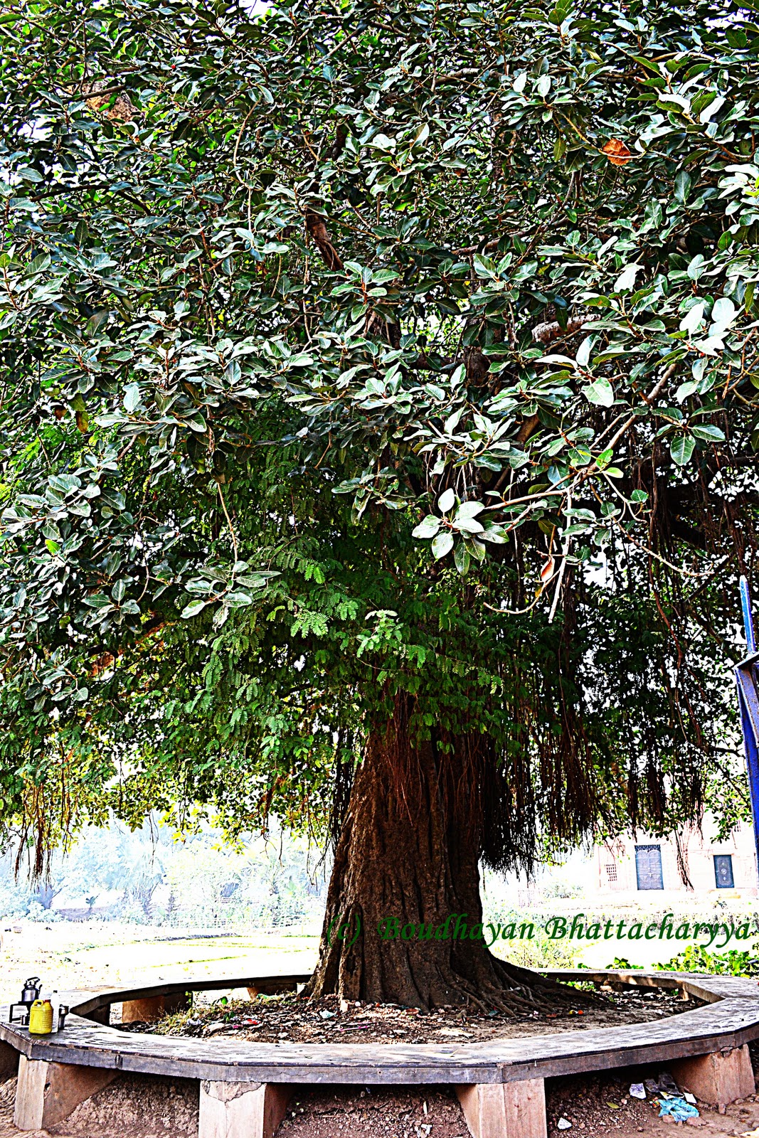 Call it LIFE... Whatever !!!: WEEKEND GET AWAY TO HISTORIC AKALIPUR