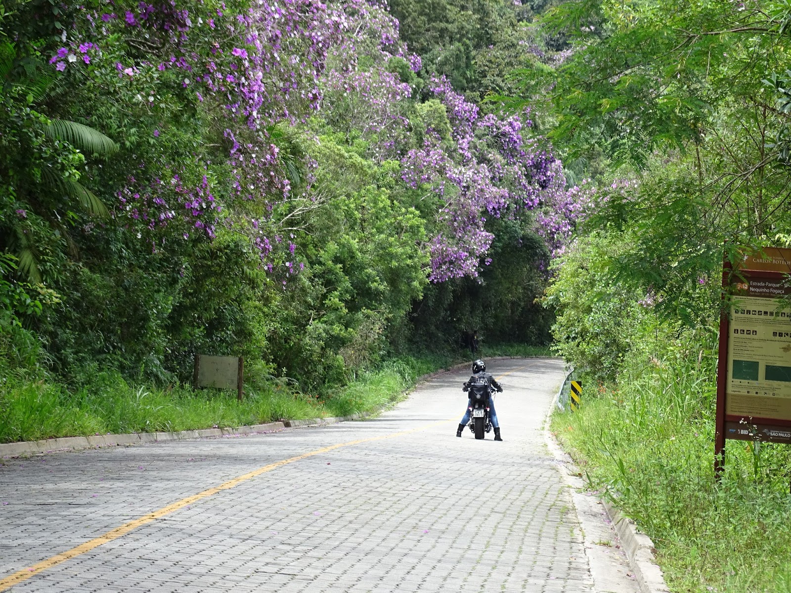 SIMPLESMENTE UMA PAIXÃO!: SERRA DA MACACA ( PARQUE ECOLÓGICO CARLOS ...