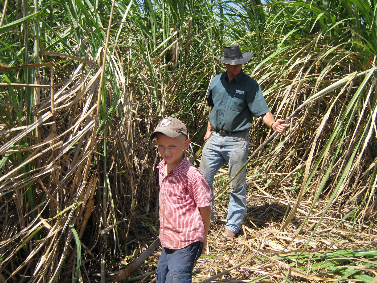 Pioneer Home: Making sugar cane syrup, the old-fashioned way