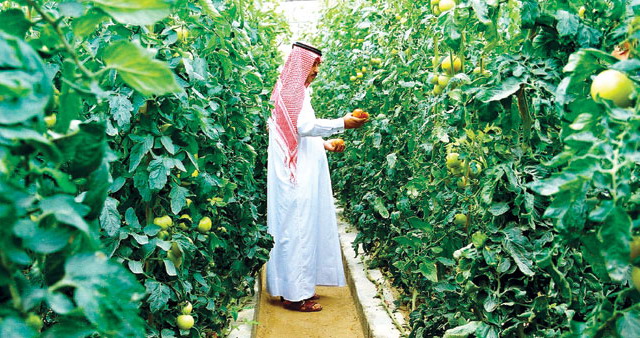 Think global - buy local