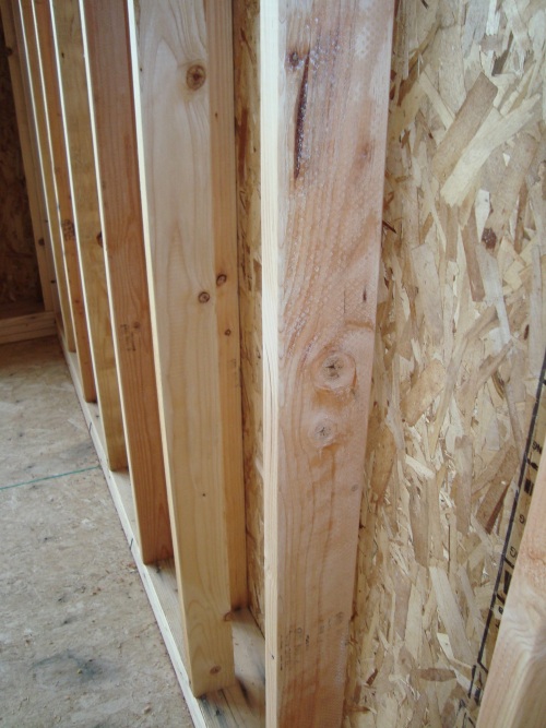 Colorado SunTerra: Staggered Studs